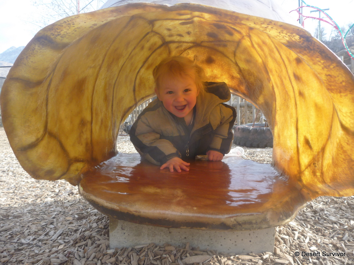 Desert Survivor: Utah's Hogle Zoo