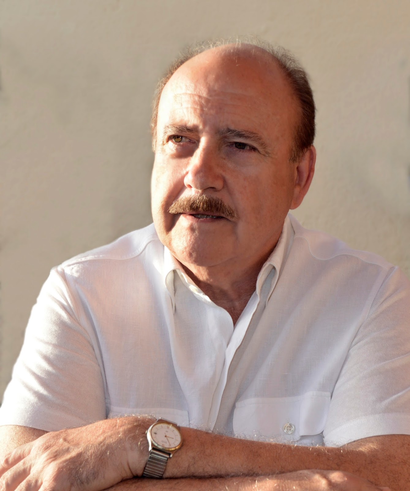 Tomás Romero: Es un libro dirigido "a todo al que no le importe ver al ...