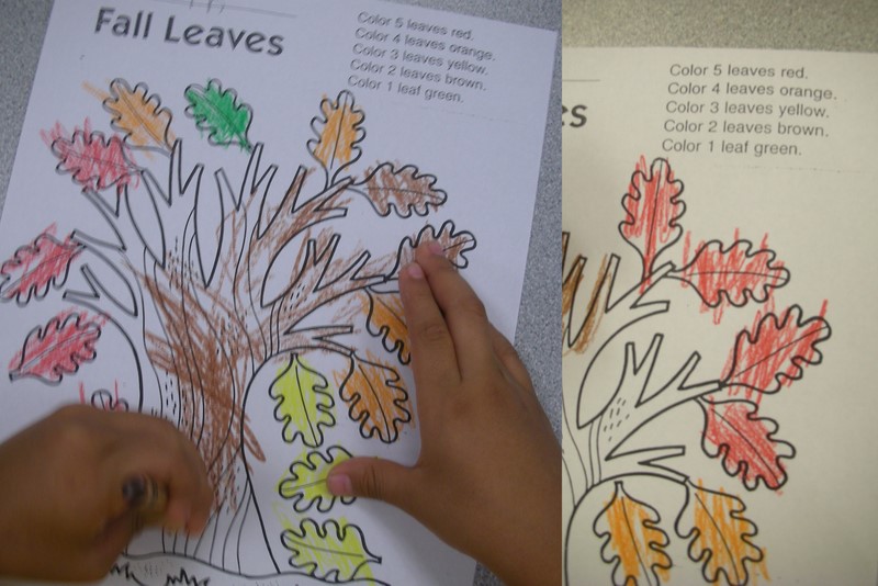 Sweet Kindergarten: Fall Leaves