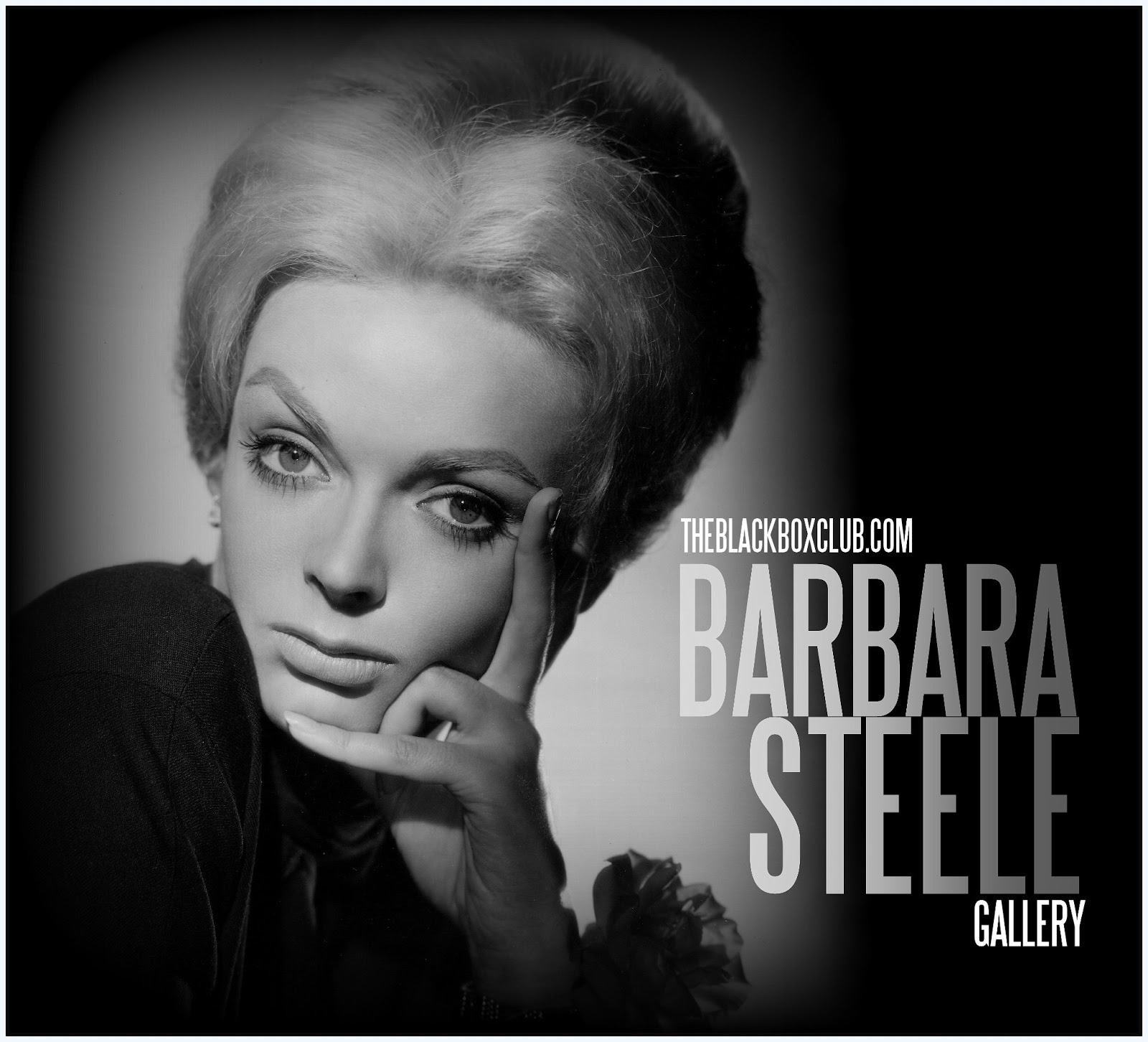 The Black Box Club: BARBARA STEELE: THE BARBARA STEELE GALLERY: HI RES ...