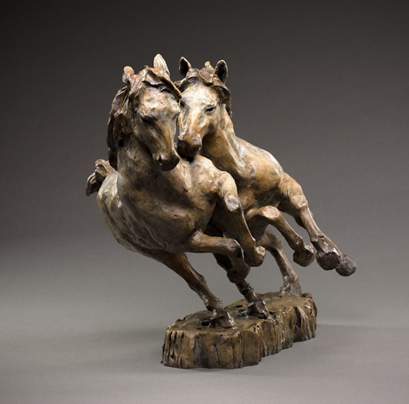 Deja View: Sherry Sander