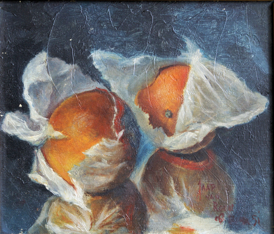 Werken Hanneke Koevoets