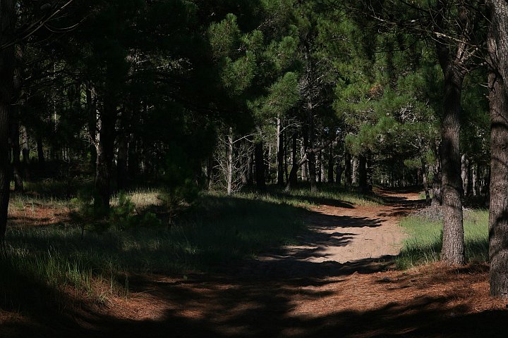 Todo Sobre Pinamar. Una Ciudad Con Historia!