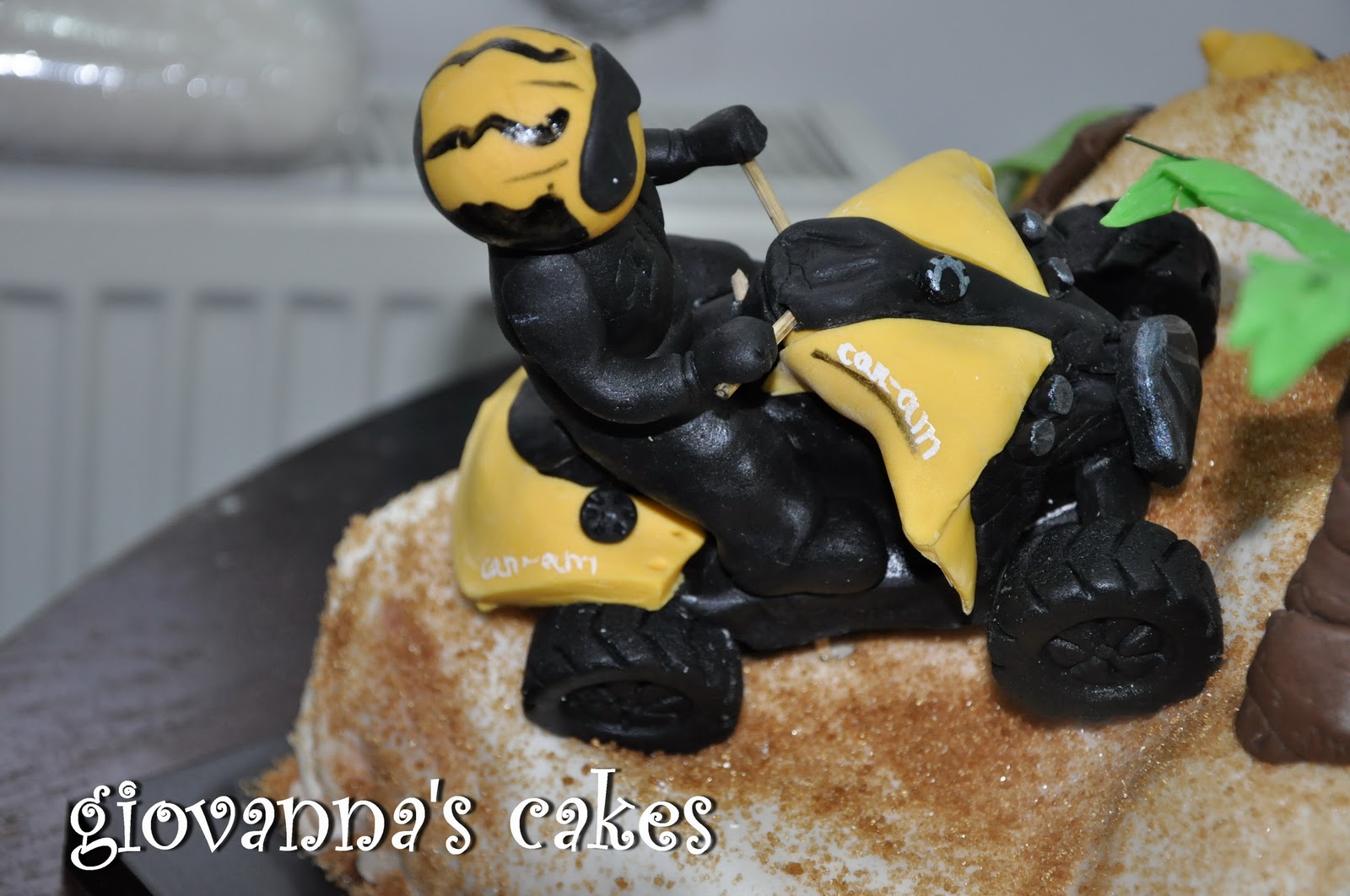 giovanna's cakes: ATV riding in the dessert