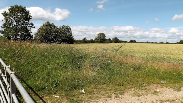 JJ's Wargames: 1066 and All That - The Battlefields of Fulford ...