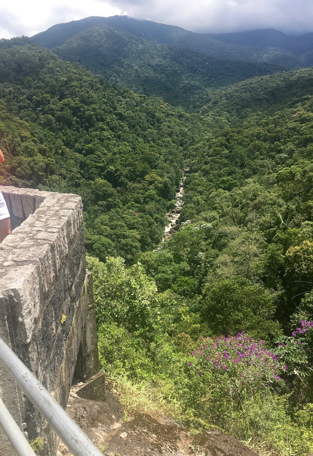 Parque Nacional do Itatiaia (Parte Baixa) em Itatiaia (RJ) ~ Áreas ...