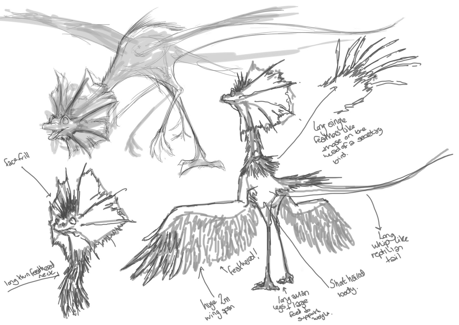 Steph's Creature Gallery: Creature Development