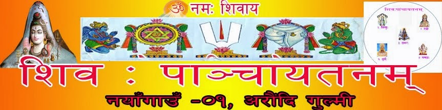 Shiva Panchayan: PANCHAYATANA PUJA..
