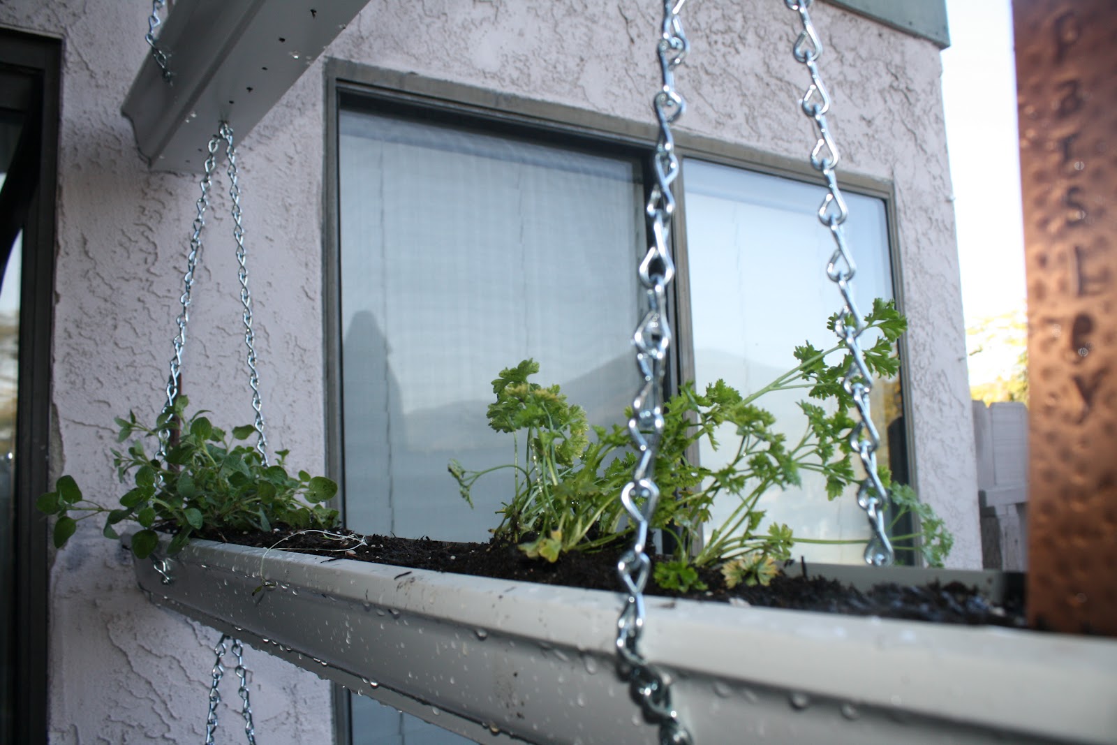 the biggest much: Rain Gutter Planters