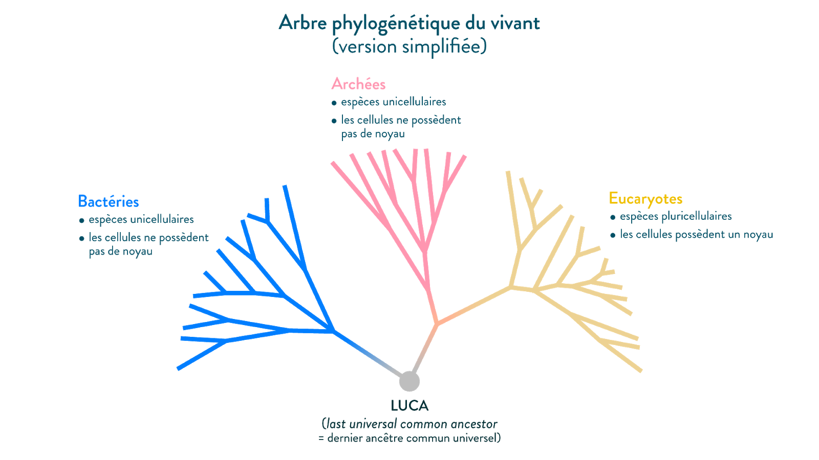 Marques ordinaires: #ChallengeAZ 2018 - Lettre U écrite à un être ...