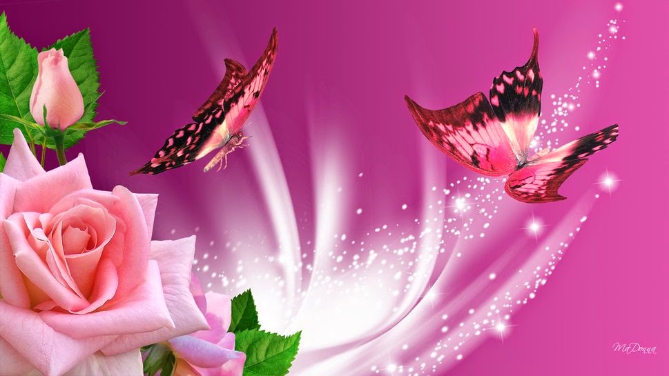 Butterfly 73: La rosa y la mariposa