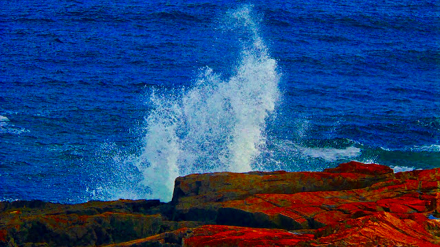 ABANDONED TRAILS OF ACADIA NATIONAL PARK: August 2017