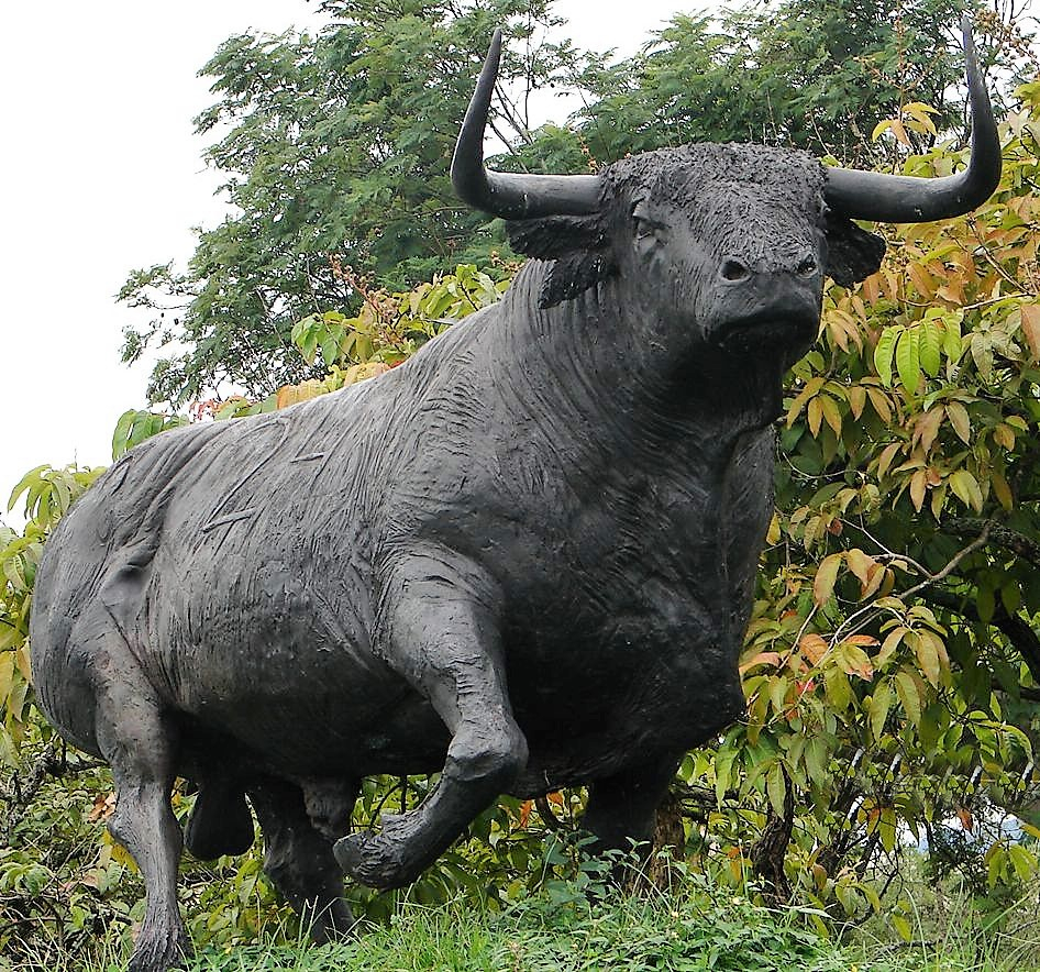 Del toro al infinito: El toro sigue ahí / Por Jorge Arturo Díaz Reyes.