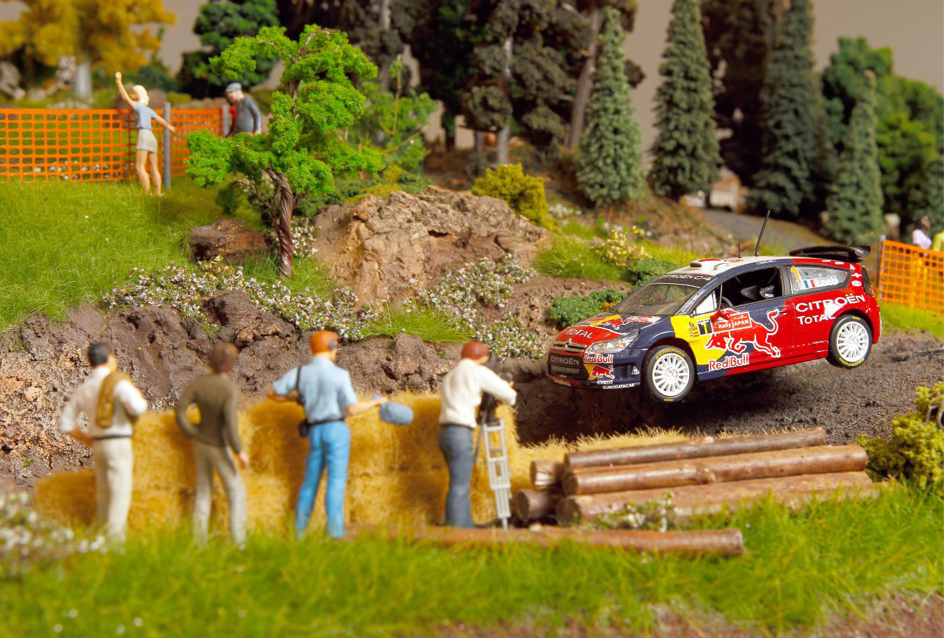 John Fife: Rally - Model show