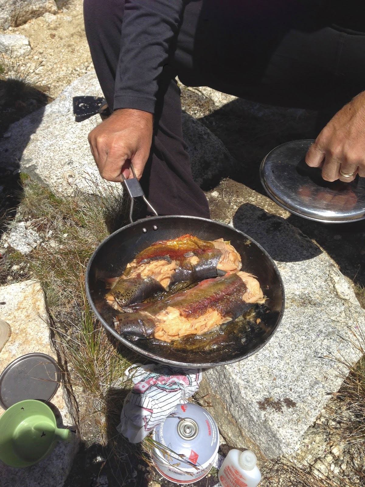 The Fish Sniffer: Golden Trout-2014 Southern Sierras