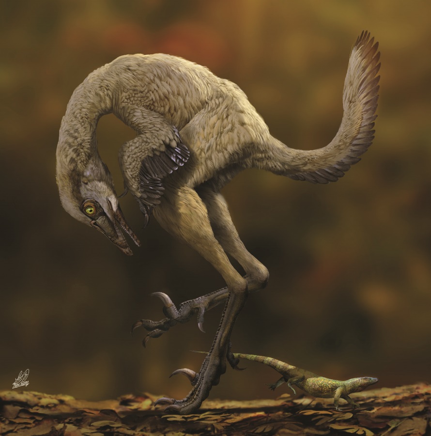 Species New to Science: [Paleontology • 2017] Liaoningvenator curriei ...