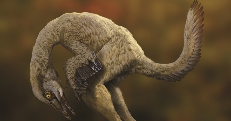 Species New to Science: [Paleontology • 2017] Liaoningvenator curriei ...