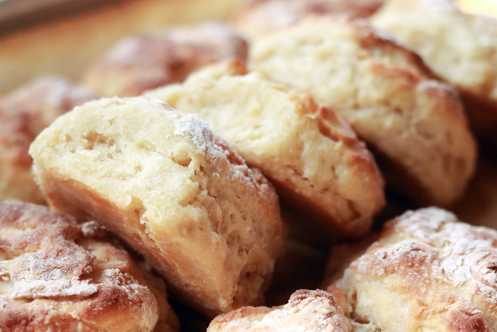 A Cook and Her Books