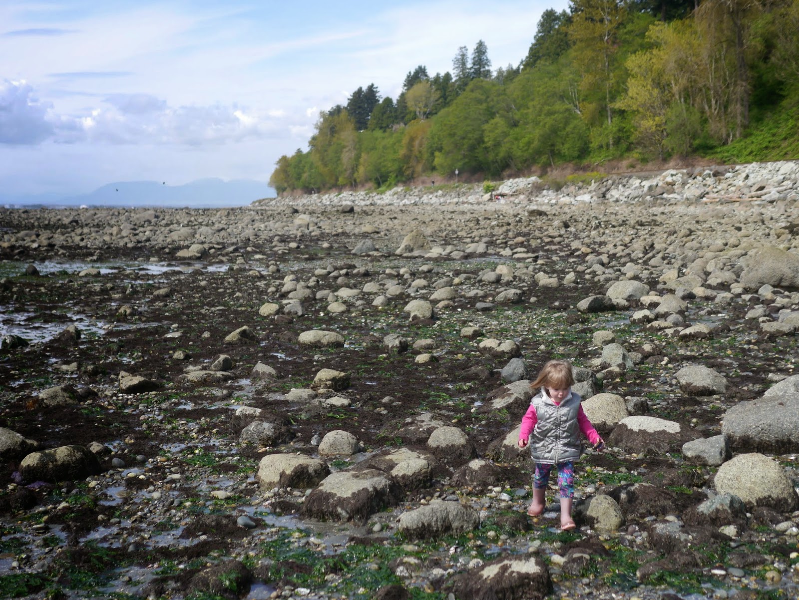 1001 Steps to the Beach – Backwoods Mama