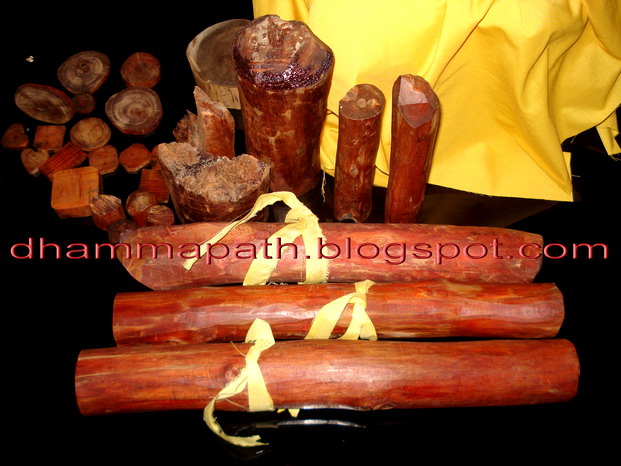 Dhamma Path Blog: Raja Kayu ~ The Magical King Of Wood Energy.