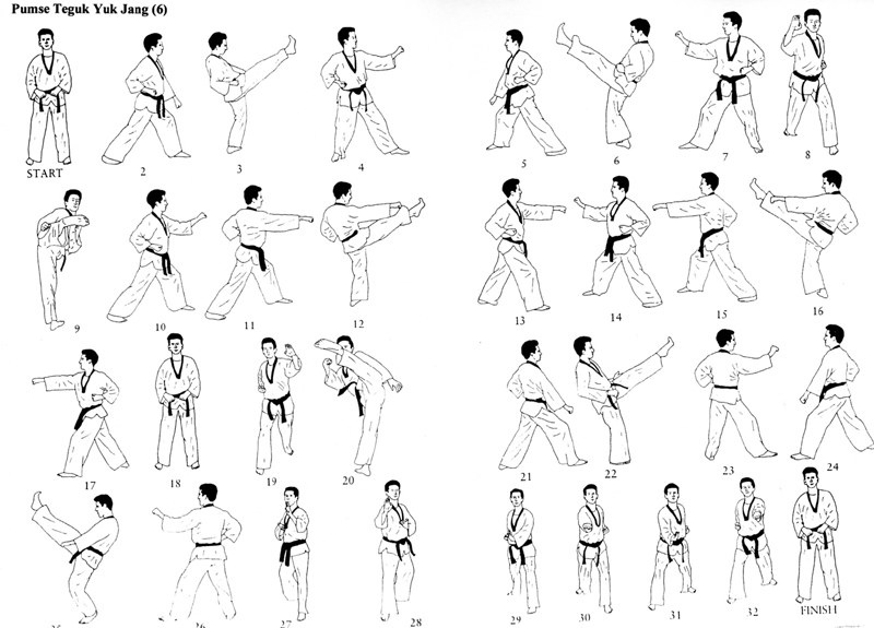 Hwarang-Do Taekwondo Clube : Faixas / Pomsae