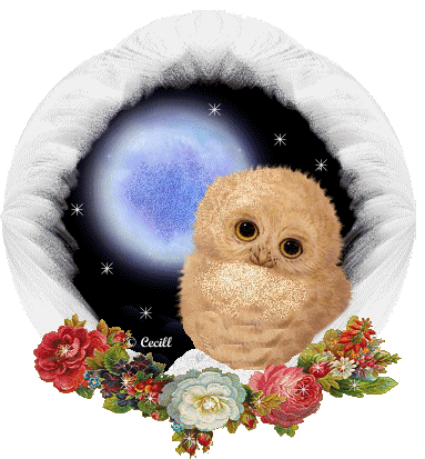 ® Gifs y Fondos Paz enla Tormenta ®: IMÁGENES ANIMADAS DE BUHOS