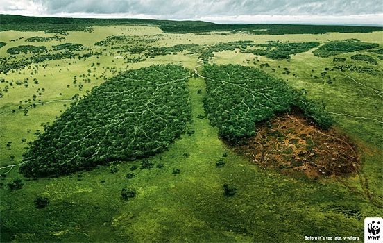 50 Campanhas Criativas da WWF ~ Grupo Obra Nova