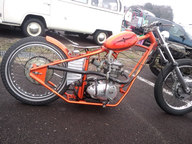 Chelodinerd: BSA CHOPPER