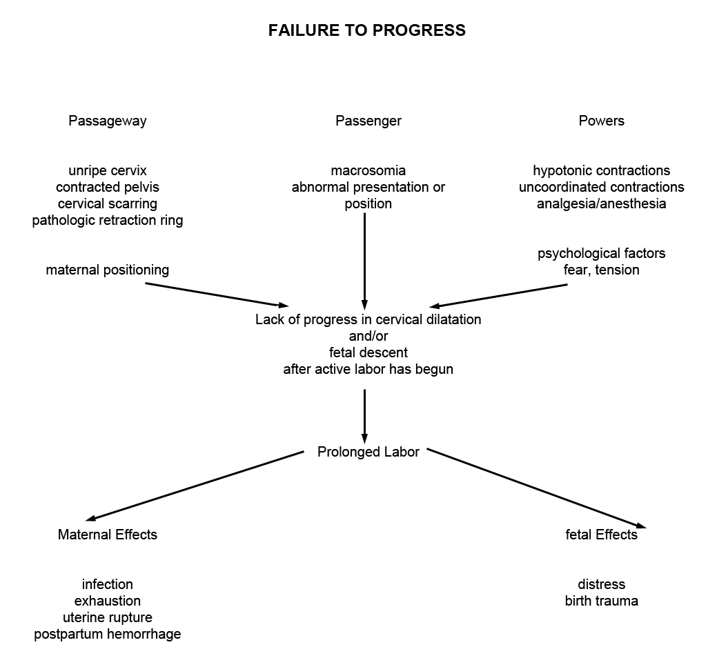 Pathophysiology: June 2011