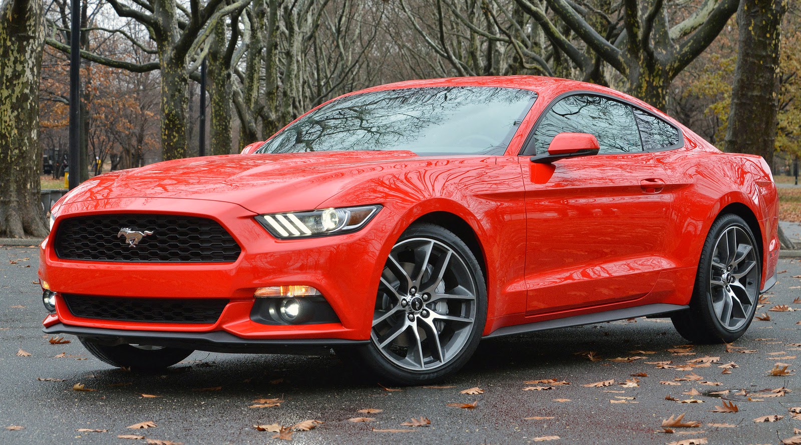 The Best Car Blog: Getting Started and Sexy Red Cars