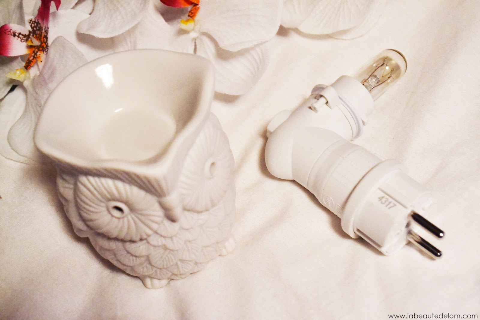 Réchauds et cires Scentsy, une nouvelle façon de parfumer sa maison ...