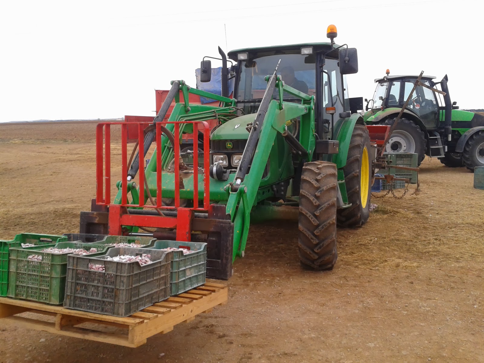 Garlic: Mechanical planter