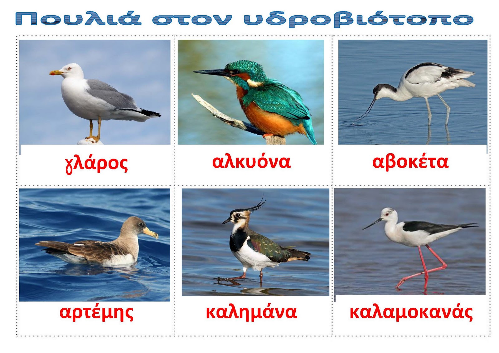 dreamskindergarten Το νηπιαγωγείο που ονειρεύομαι !: Παγκόσμια ημέρα ...