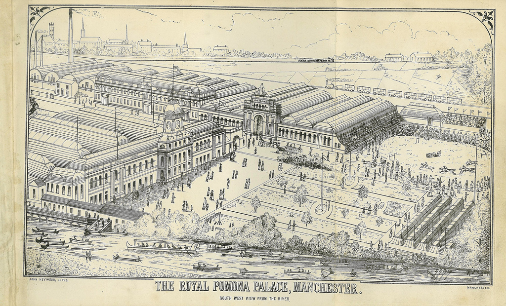 Stuart Marsden's Conservation Research Group: Pomona Island: ducks ...