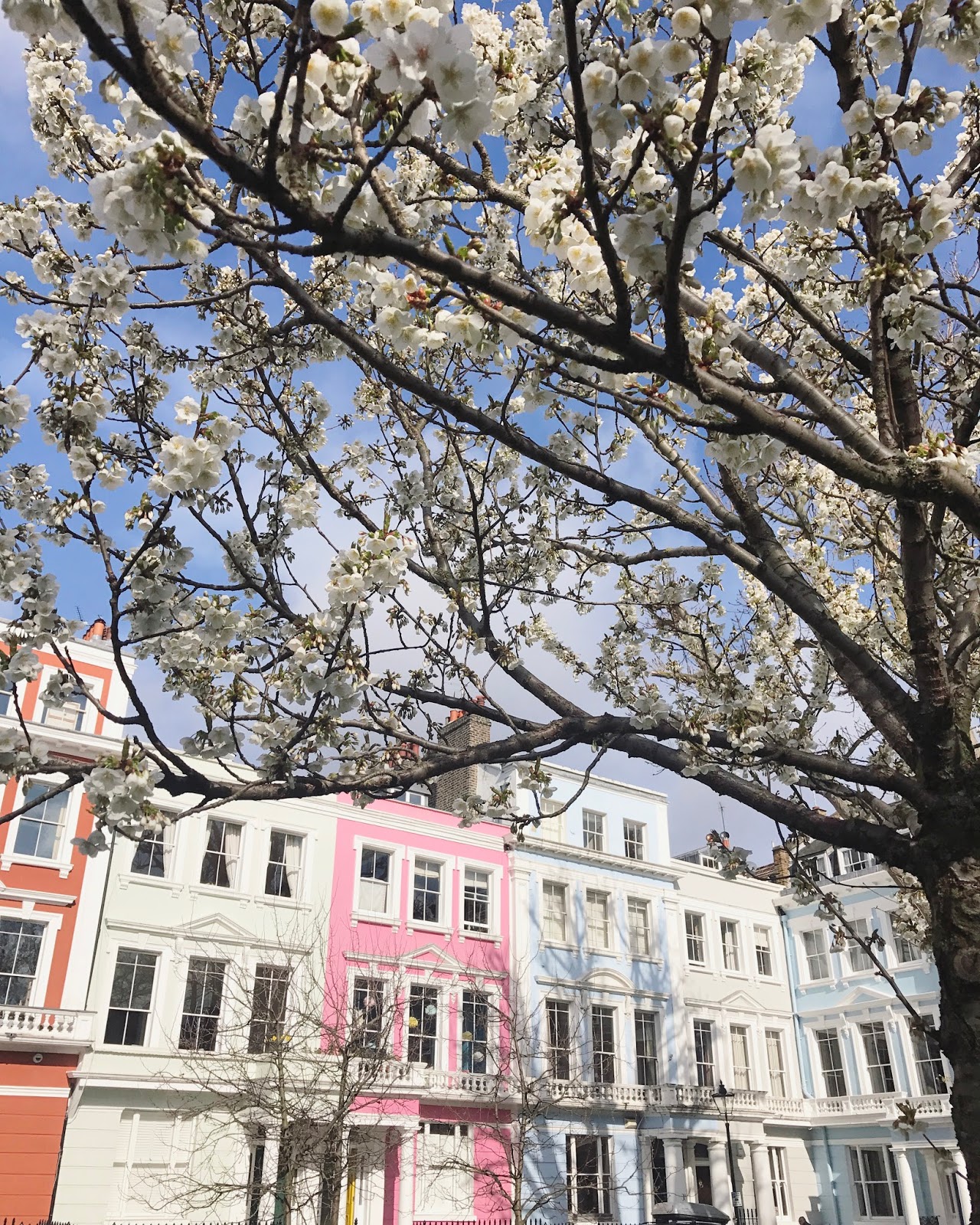 Pretty City London, Spring in Richmond and Primrose Hill - Roses and ...