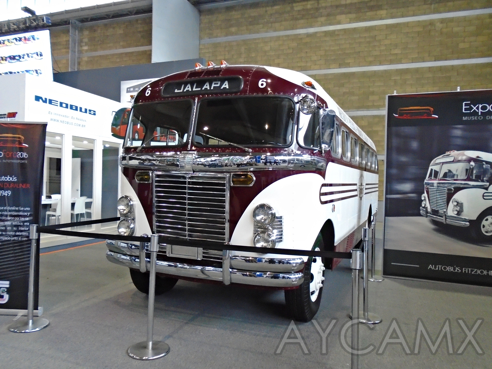 AYCAMX - Autobuses y Camiones México : Autobuses Foráneos 300. Especial ...