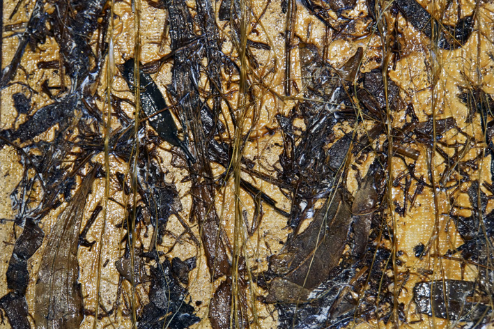 Woven in the Land: Stitching Punda