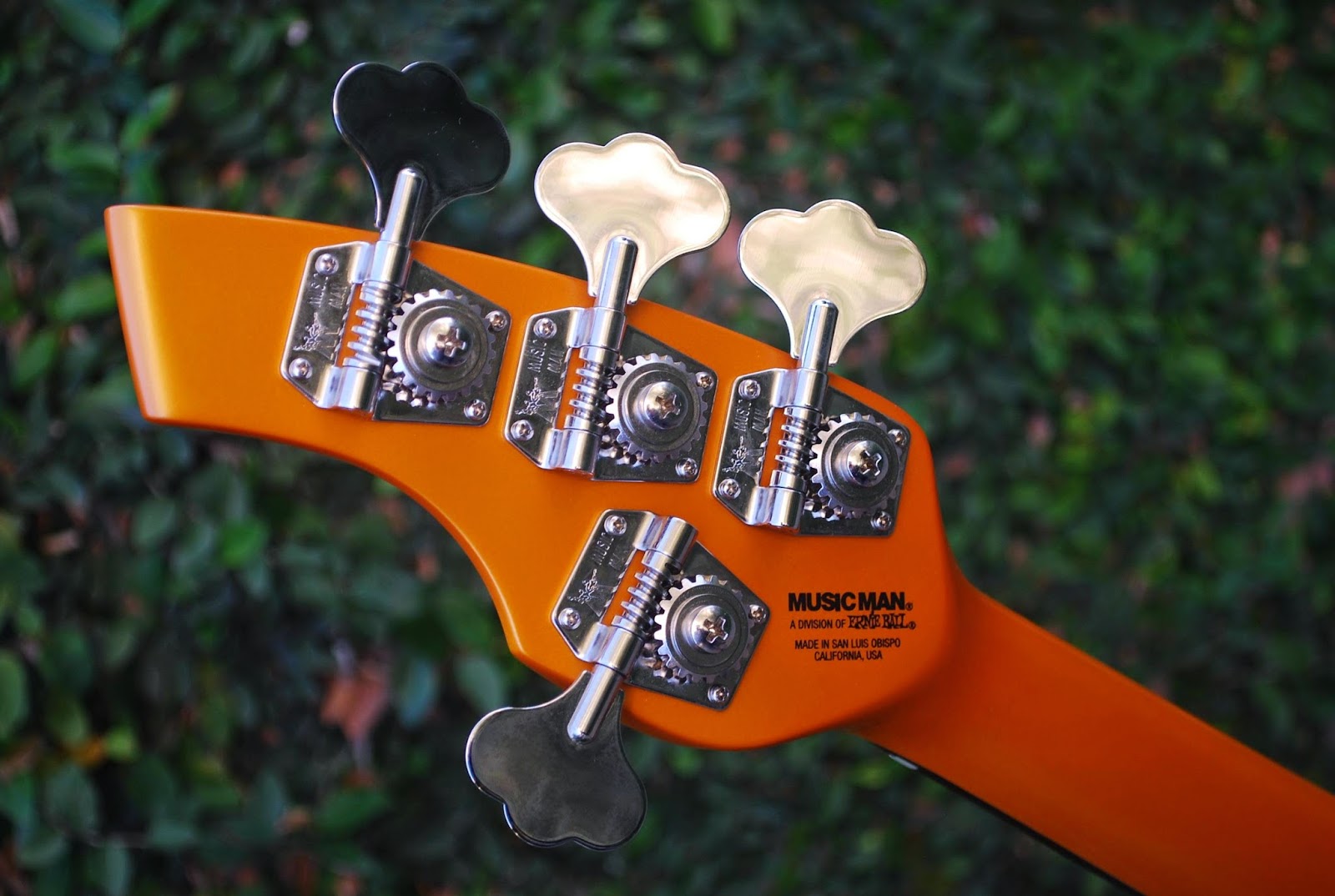 Rex and the Bass: 2006 Ernie Ball MusicMan Bongo Bass Guitar Review