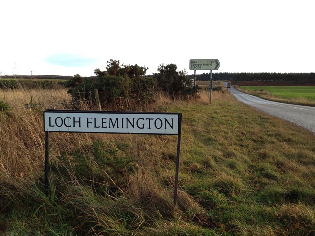 The Nature Quest: MEGA - American Coot, Loch Flemington
