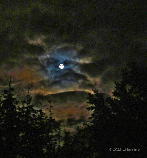 Linda Marcille, Fine Art ~ Crow House Studio: Lovely Luna, Moonlight in ...