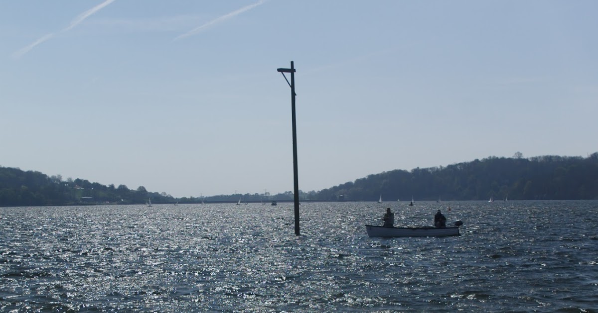 Valley Naturalist: Beetle bank