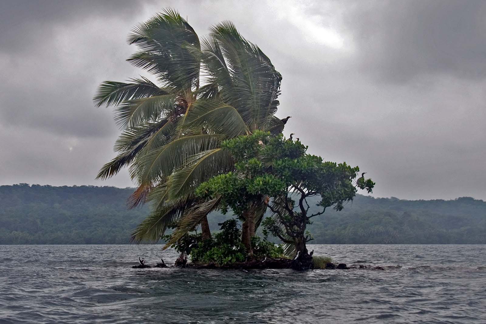 East Rennell | Desktop Wallpapers