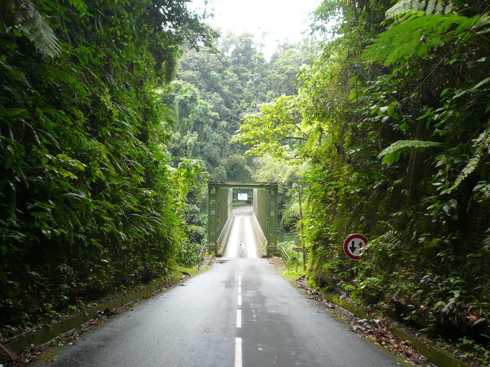 Les Chroniques Berliniquaises: Chronique Martiniquaise (7) - Beauté de ...