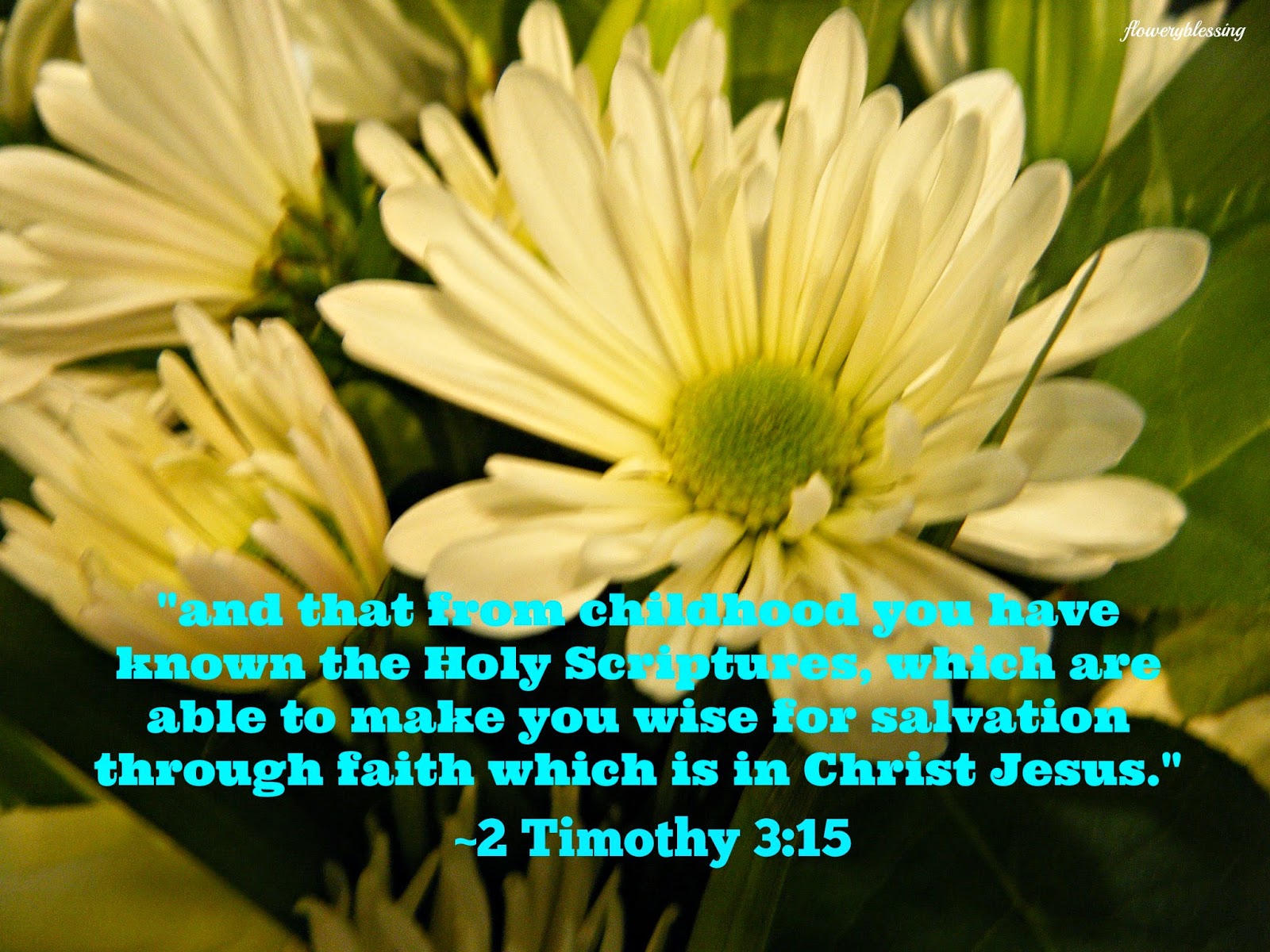 Flowery Blessing: "and that from childhood you have known the Holy ...