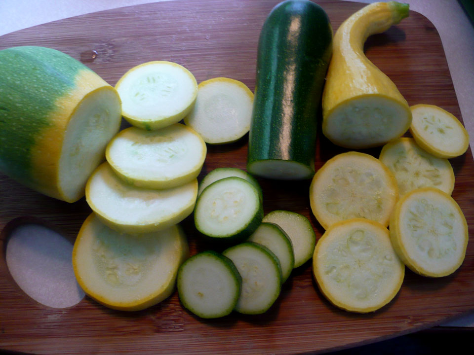 The Enchanted Tree: Squashini? Zucchinash? Cross pollination in the garden.