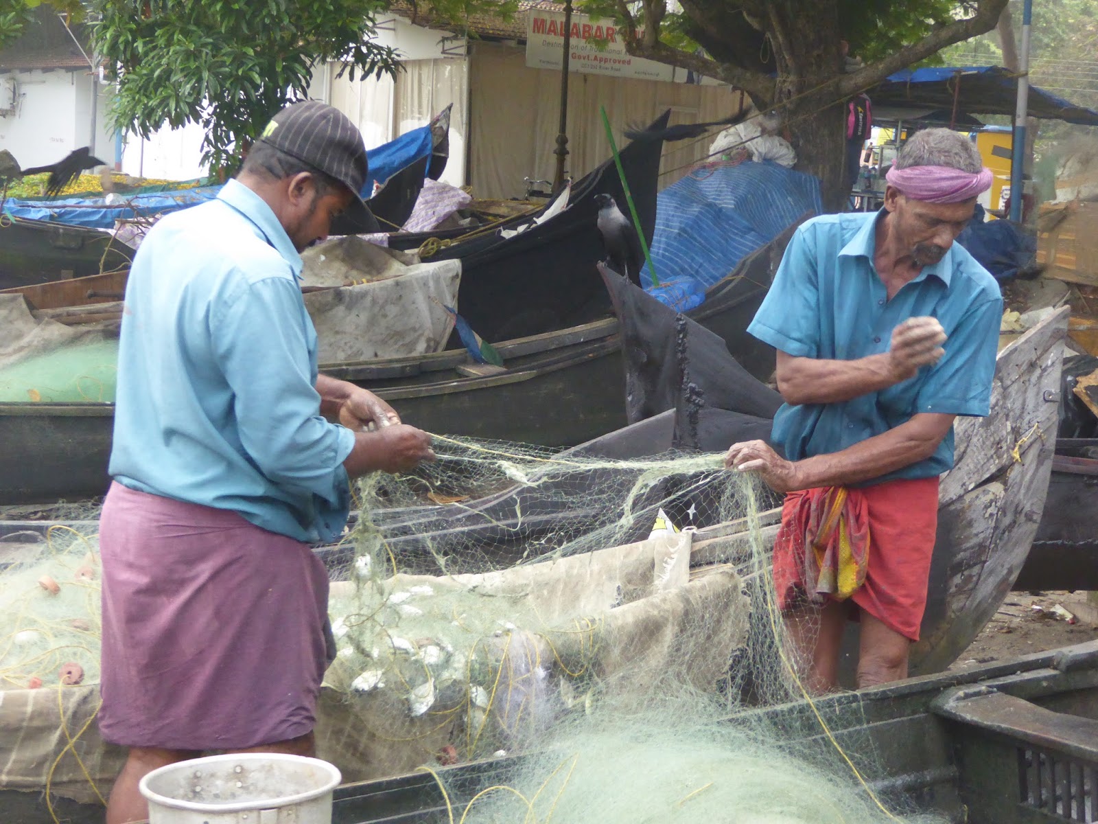 Another day, another walk: Kerala, an adventure in India.