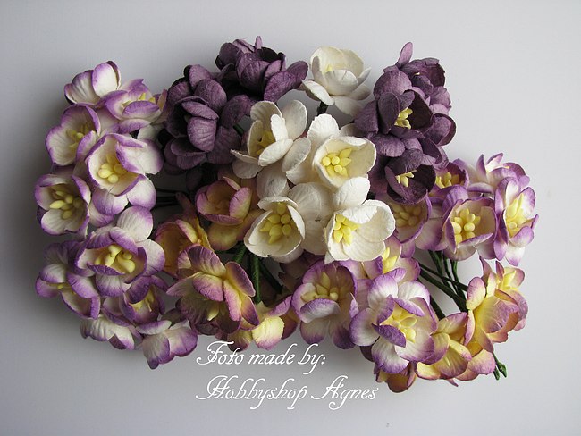 Hobbyshop Agnes BLOG: Agnes flower mix