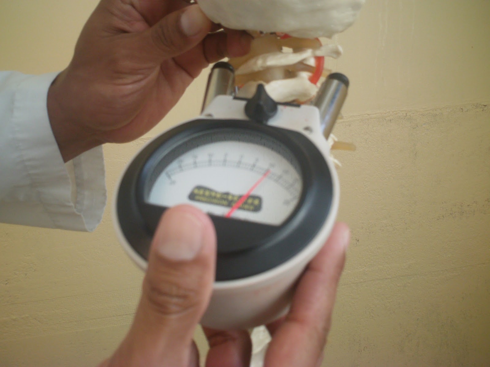 Roman Family Chiropractic: Clarence Gonstead and the Gonstead Technique