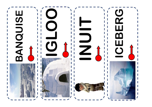 La classe du chat à lunettes: Projet Banquise