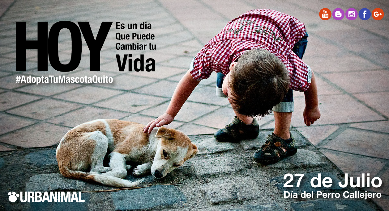 27 de Julio "Día Internacional del Perro Callejero" - URBANIMAL